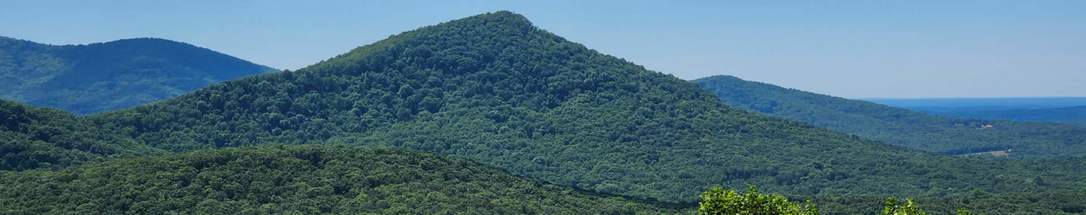 Discover the rich History of Pickens County, Georgia
